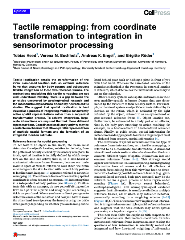 Pdf Tactile Remapping From Coordinate Transformation To Integration In Sensorimotor Processing