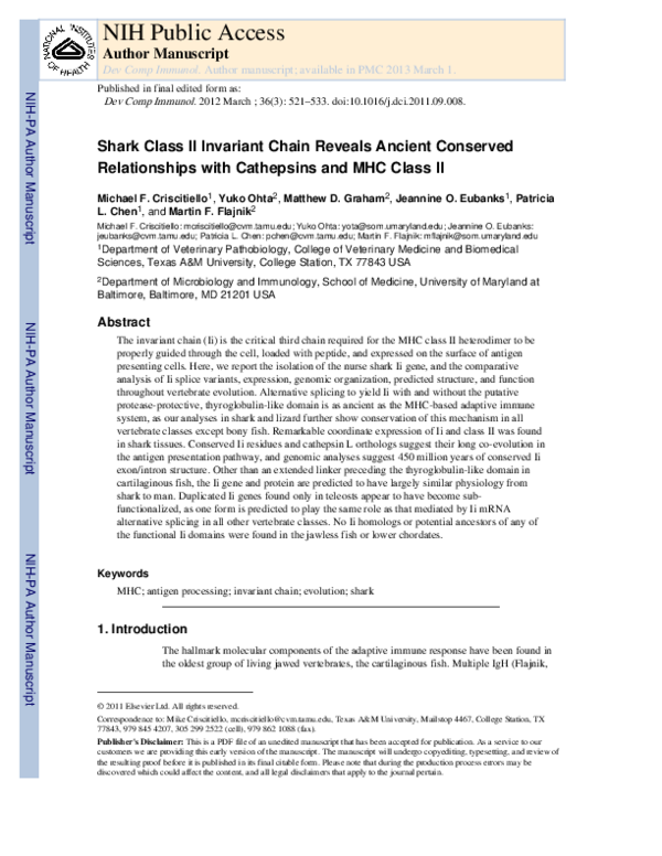 (PDF) Shark class II invariant chain reveals ancient conserved ...