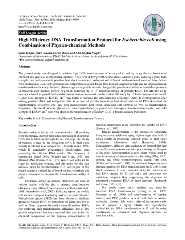 Pdf High Efficiency Dna Transformation Protocol For Escherichia Coli Using Combination Of
