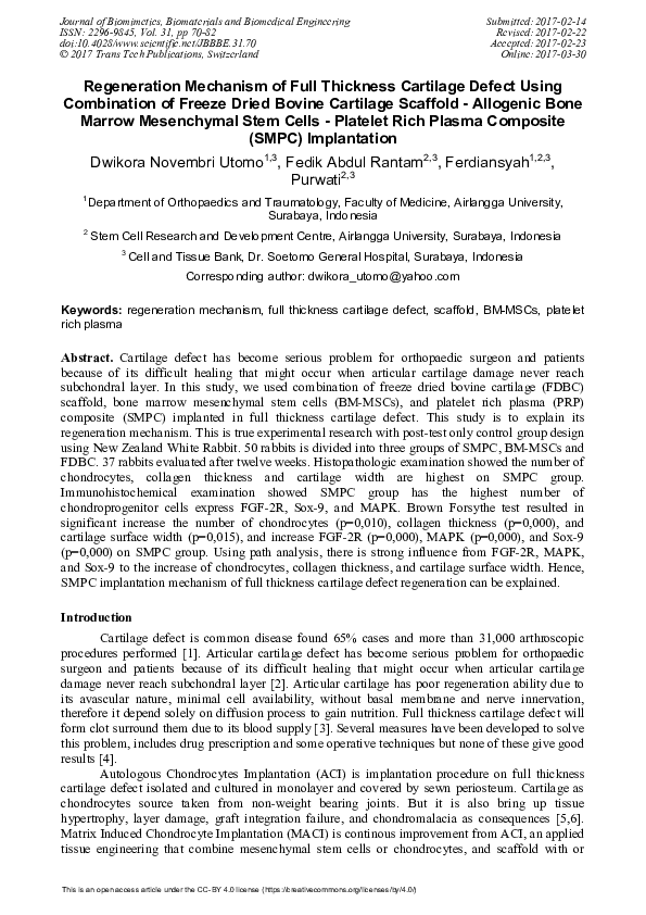 (PDF) Regeneration Mechanism of Full Thickness Cartilage Defect Using ...