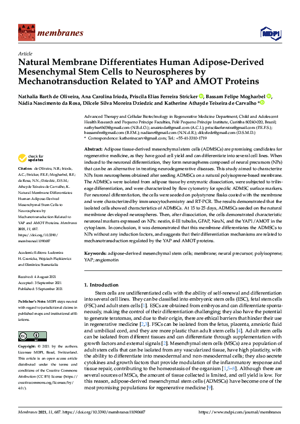 (PDF) Natural Membrane Differentiates Human Adipose-Derived Mesenchymal ...