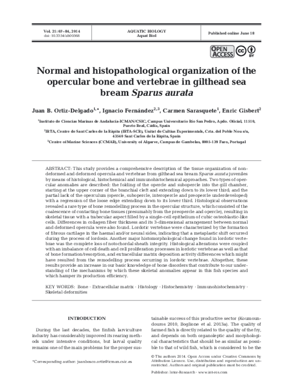 (PDF) Normal and histopathological organization of the opercular bone ...