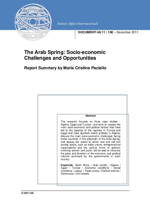 (PDF) The Arab Spring: Socio-economic Challenges and Opportunities