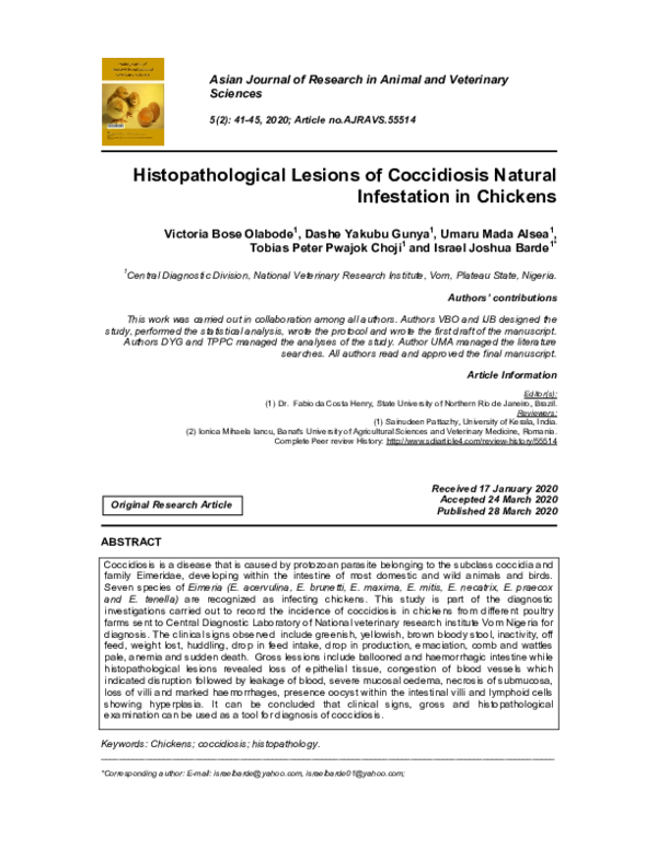 (PDF) Histopathological Lesions of Coccidiosis Natural Infestation in ...