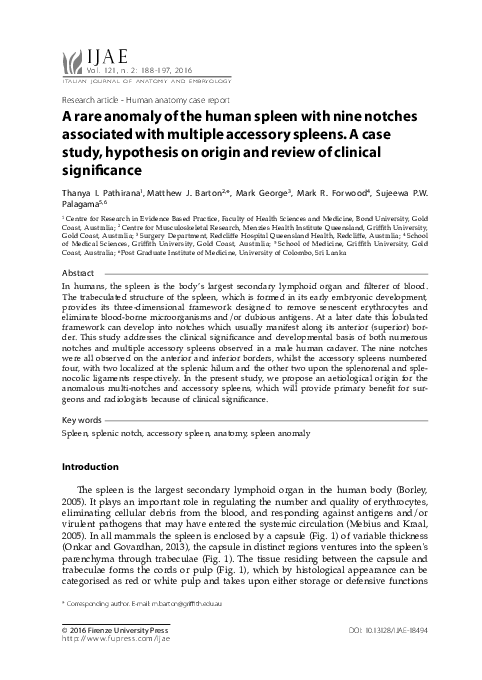 (PDF) A rare anomaly of the human spleen with nine notches associated ...
