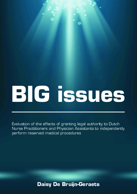 (PDF) Big issues