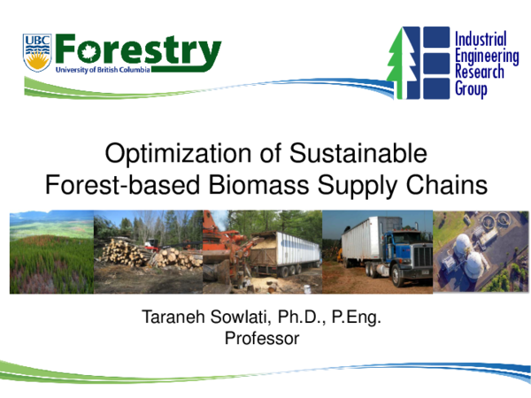 (PDF) Optimization of sustainable forest-based biomass supply chains ...