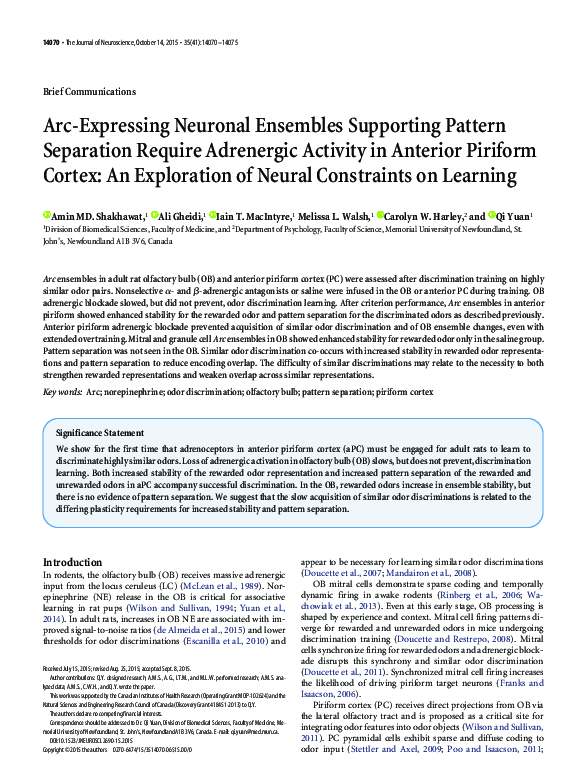 (PDF) Arc-Expressing Neuronal Ensembles Supporting Pattern Separation Require Adrenergic ...