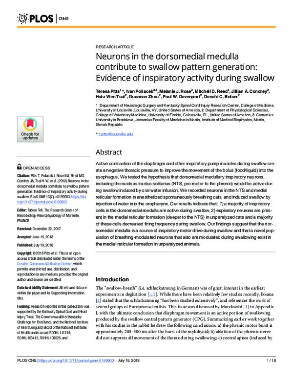 (PDF) Neurons in the dorsomedial medulla contribute to swallow pattern ...