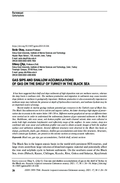(PDF) Gas Sips and Shallow Accumulations of Gas on the Shelf of Turkey ...