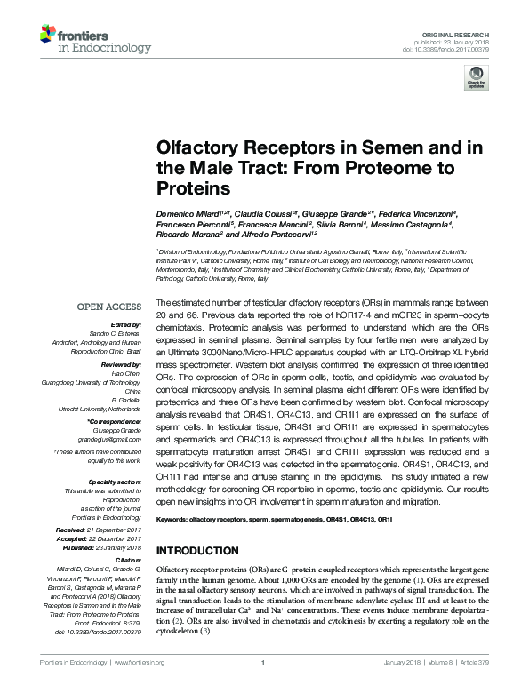 (PDF) Olfactory Receptors in Semen and in the Male Tract: From Proteome ...