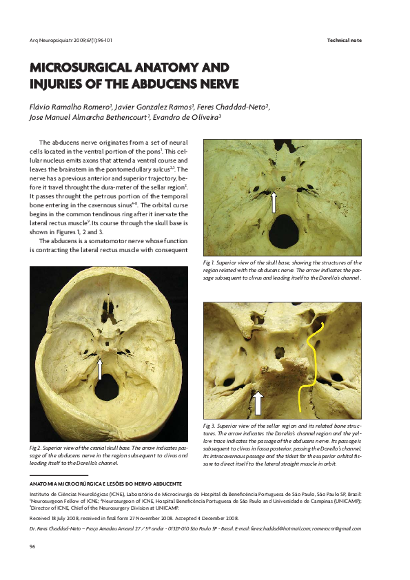 (PDF) Microsurgical anatomy and injuries of the abducens nerve
