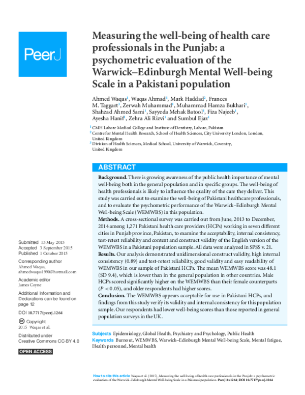 (PDF) Measuring the well-being of health care professionals in the ...