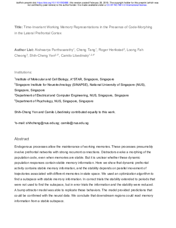 Pdf Time Invariant Working Memory Representations In The Presence Of Code Morphing In The