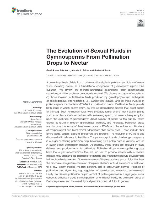 (PDF) The Evolution of Sexual Fluids in Gymnosperms From Pollination Drops to Nectar