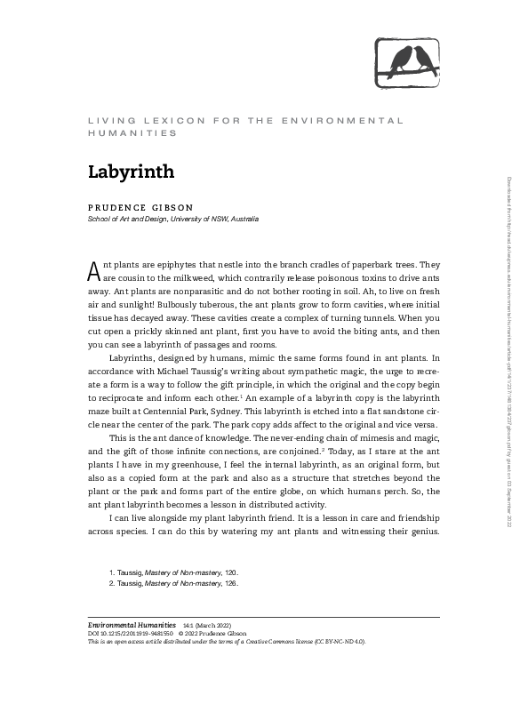 (PDF) Labyrinth