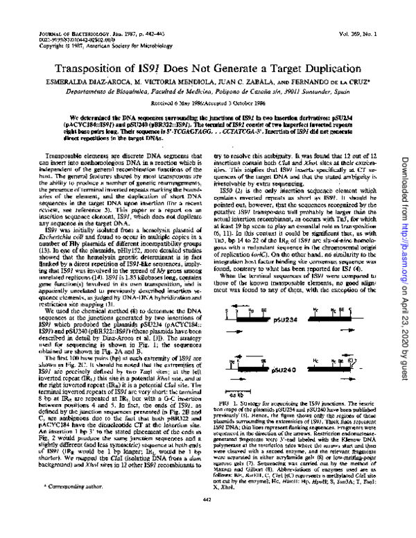 (PDF) Transposition of IS91 does not generate a target duplication | Esmeralda Diaz-Aroca ...