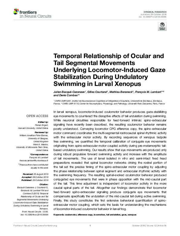(PDF) Temporal Relationship of Ocular and Tail Segmental Movements ...