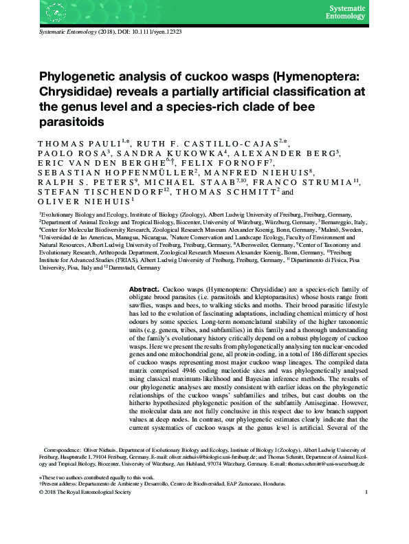 (PDF) Phylogenetic analysis of cuckoo wasps (Hymenoptera: Chrysididae ...