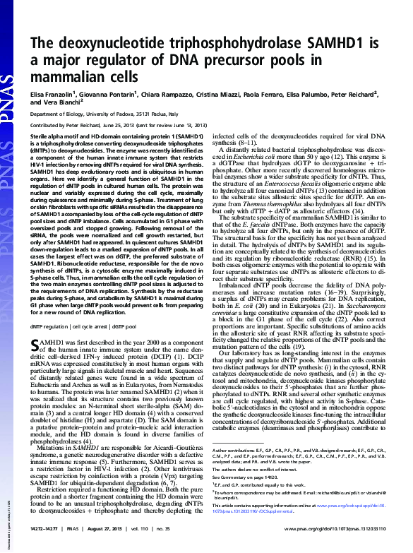 (PDF) The deoxynucleotide triphosphohydrolase SAMHD1 is a major ...