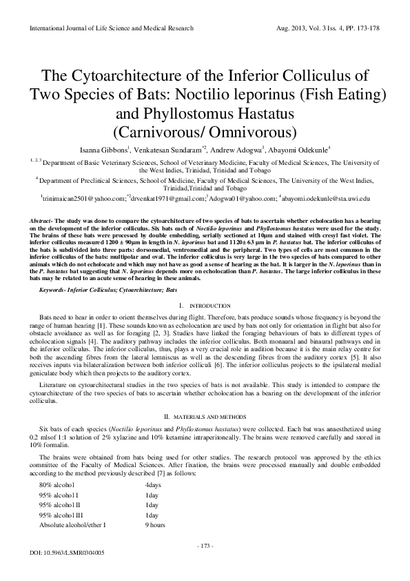 (PDF) The Cytoarchitecture of the Inferior Colliculus of Two Species of ...