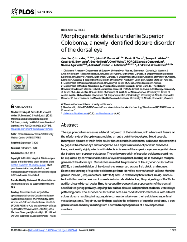 (PDF) Morphogenetic defects underlie Superior Coloboma, a newly ...
