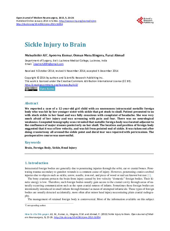 (PDF) Sickle Injury to Brain