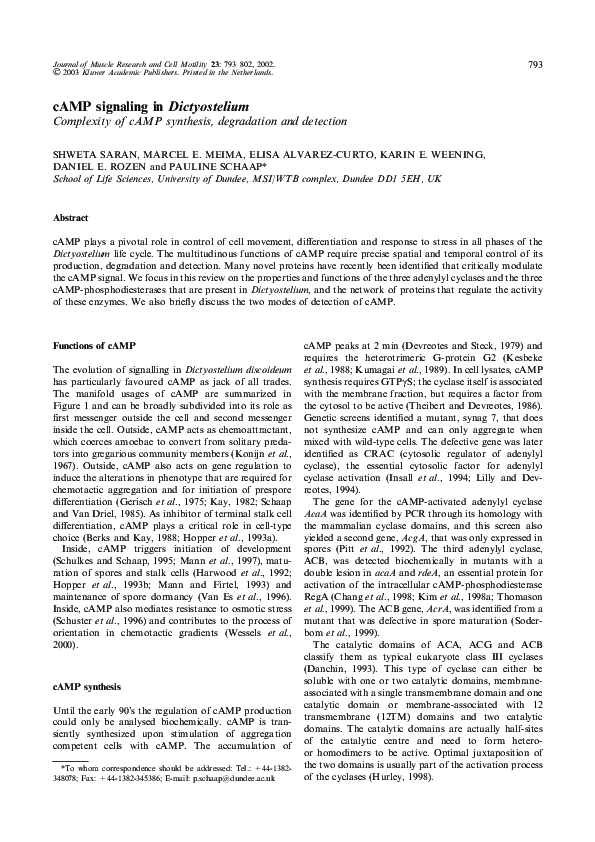 (PDF) CAMP signaling in Dictyostelium - Complexity of cAMP synthesis ...