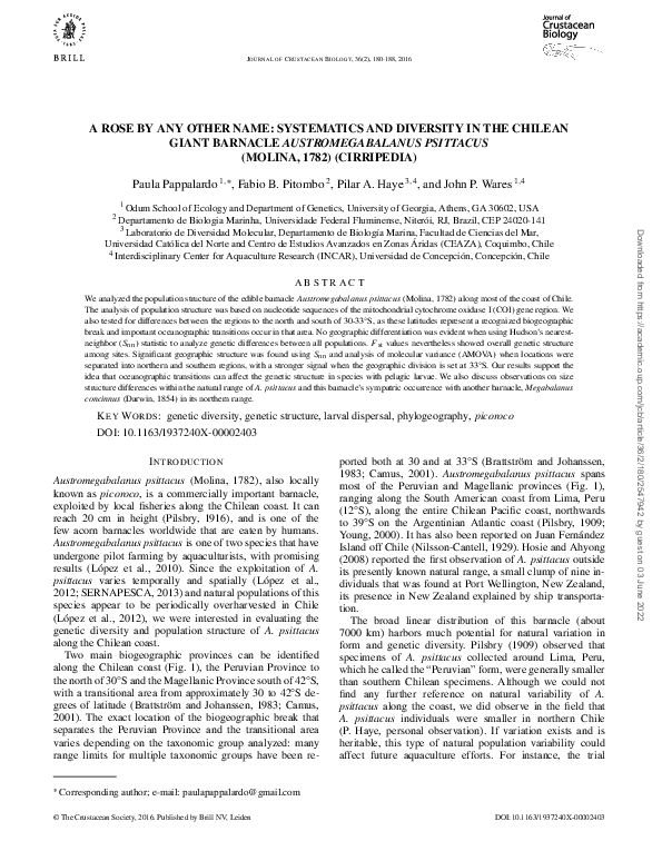 (PDF) A rose by any other name: systematics and diversity in the ...