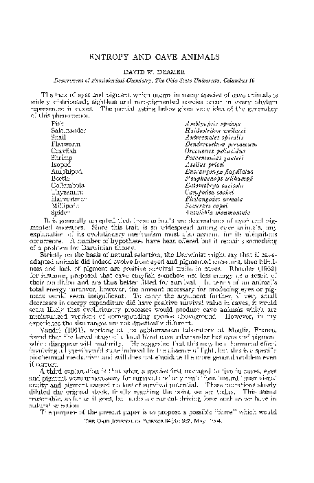 (PDF) Entropy and Cave Animals