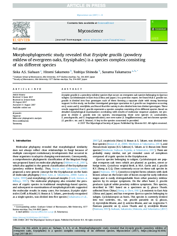 (PDF) Morphophylogenetic study revealed that Erysiphe gracilis (powdery ...