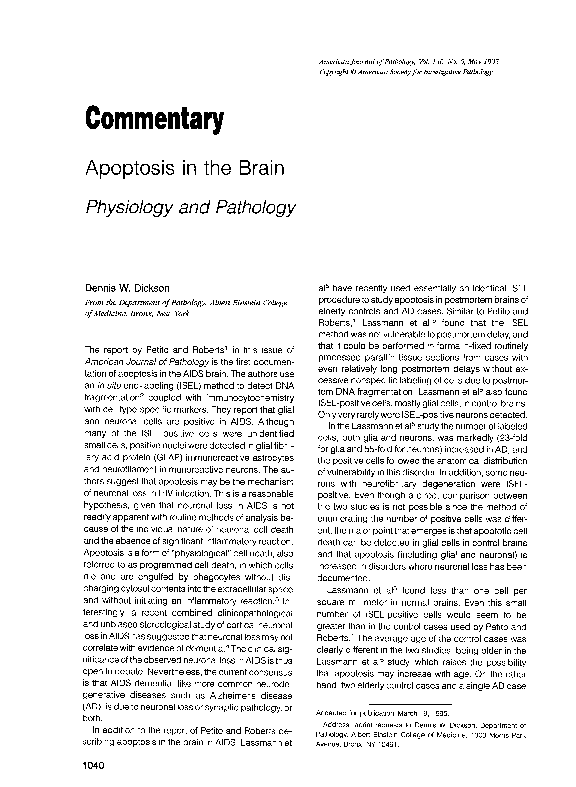 (PDF) Apoptosis in the brain. Physiology and pathology
