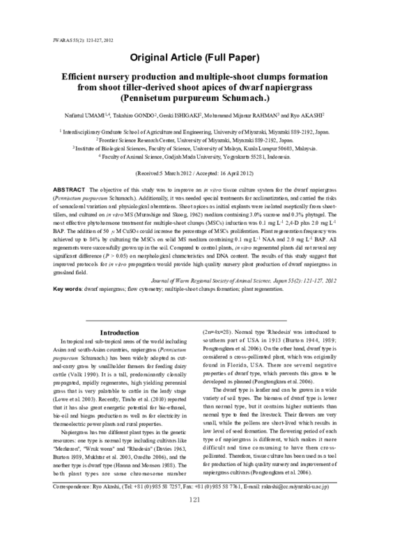 (PDF) Efficient nursery production and multiple-shoot clumps formation ...