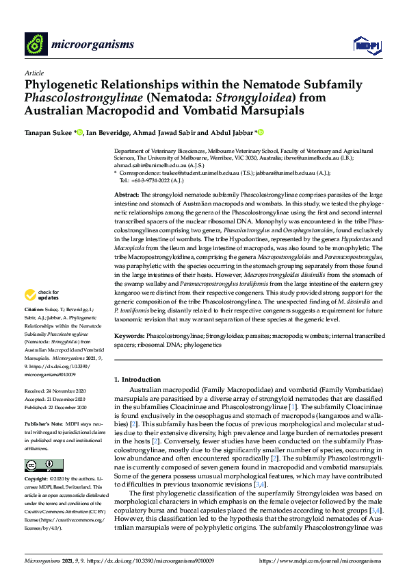 (PDF) Phylogenetic Relationships within the Nematode Subfamily ...