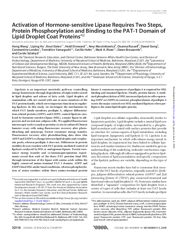 (PDF) Activation of Hormone-sensitive Lipase Requires Two Steps ...
