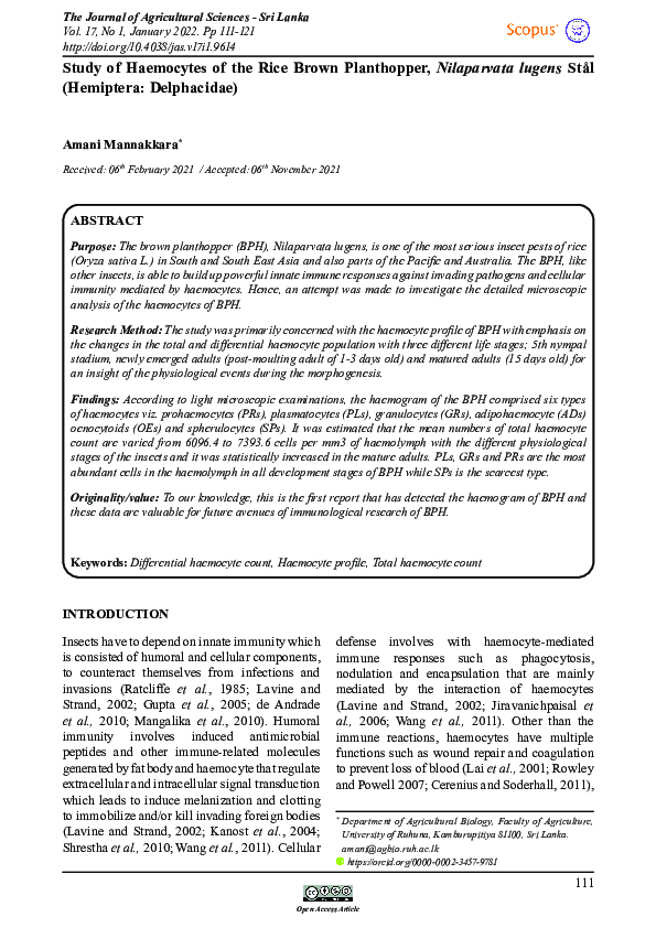 (PDF) Study of haemocytes of the rice brown planthopper, Nilaparvata ...