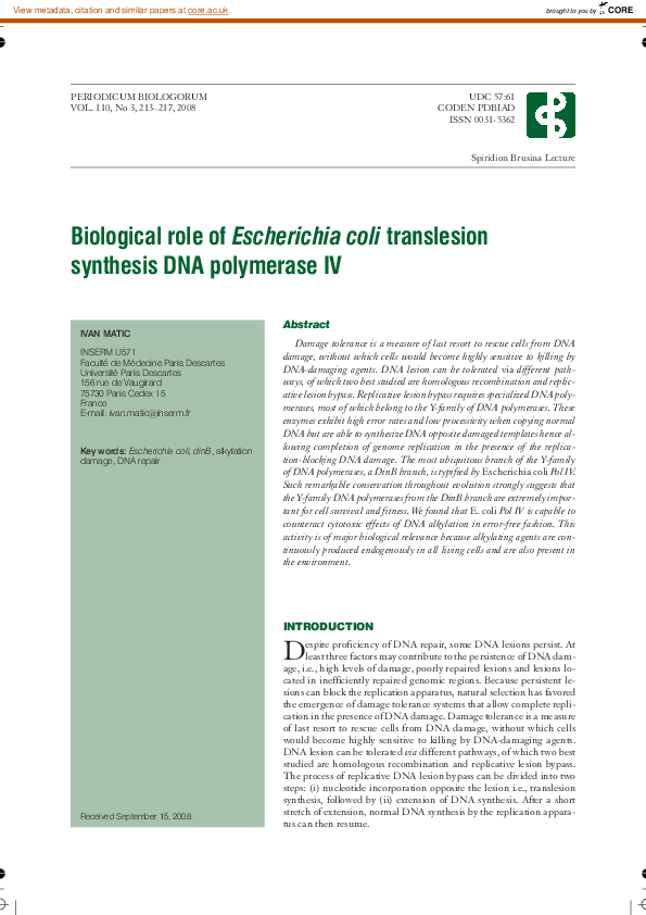 (PDF) Biological role of Escherichia coli translesion synthesis DNA ...
