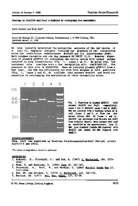 (PDF) Cleavage by Eco O109 and Dra II is inhibited by overlapping dcm methylation | Bodo Rak ...