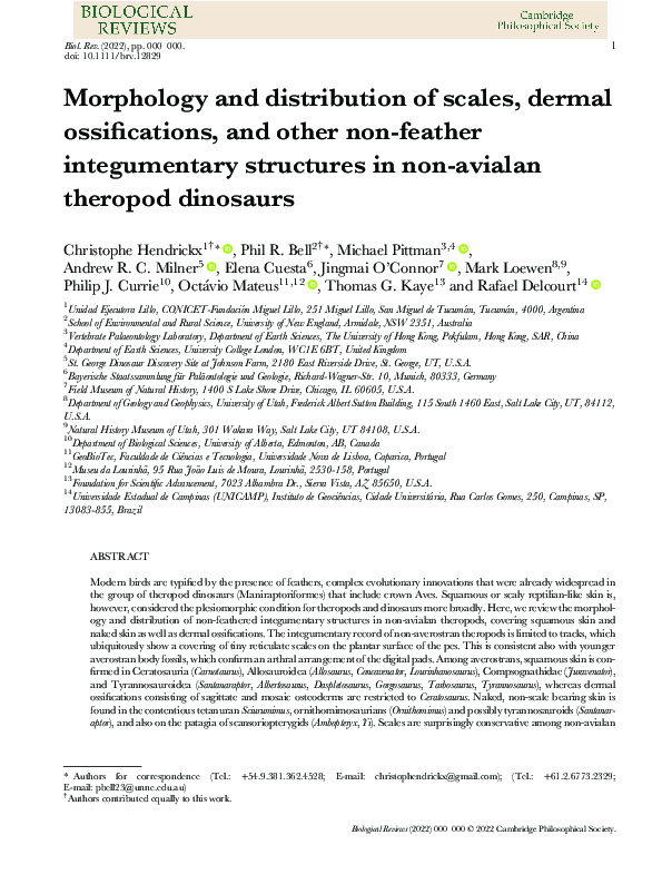 (PDF) Morphology and distribution of scales, dermal ossifications, and ...