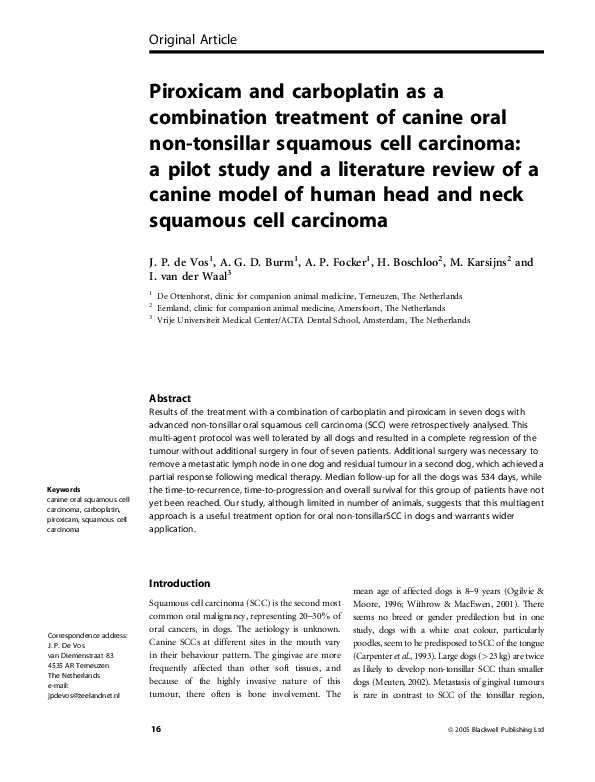 (PDF) Piroxicam and carboplatin as a combination treatment of canine ...