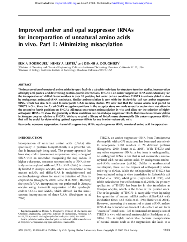 (PDF) Improved amber and opal suppressor tRNAs for incorporation of ...
