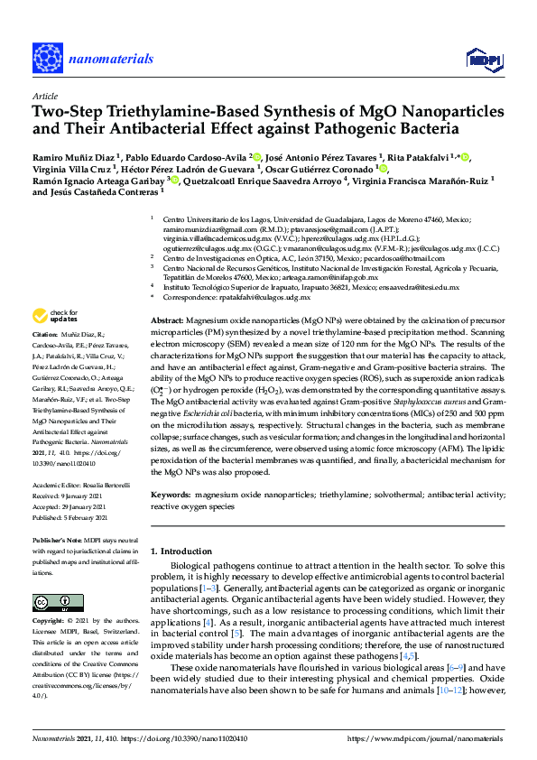 (PDF) Two-Step Triethylamine-Based Synthesis of MgO Nanoparticles and Their Antibacterial Effect ...