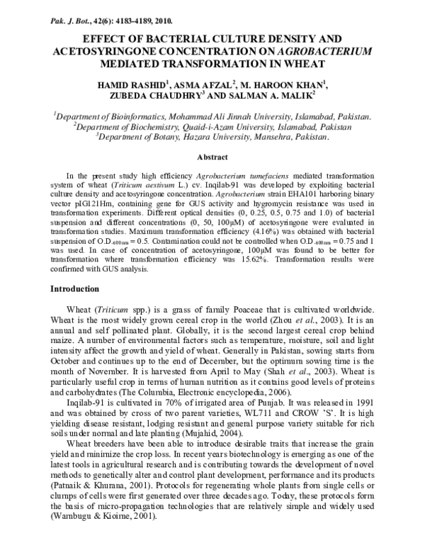 (PDF) Effect of Bacterial Culture Density and Acetosyringone ...