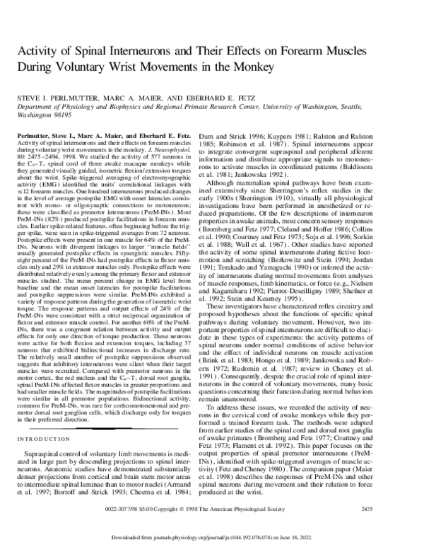 (PDF) Activity of Spinal Interneurons and Their Effects on Forearm ...
