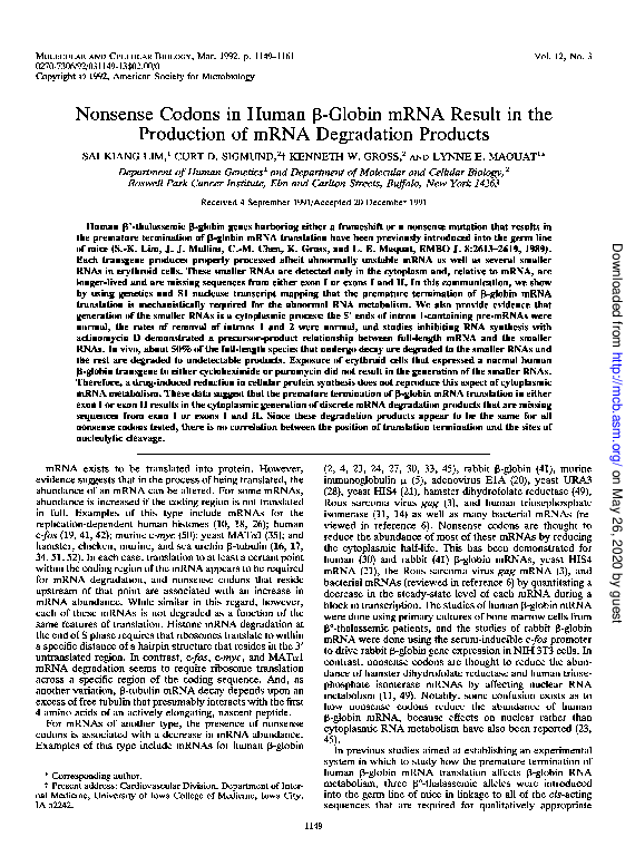 (PDF) Nonsense codons in human beta-globin mRNA result in the ...