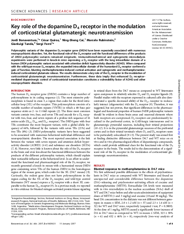 (PDF) Dopamine D4 Receptor's Role in Glutamatergic Signaling