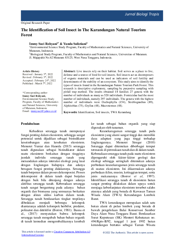 (PDF) The Identification of Soil Insect in The Karandangan Natural ...
