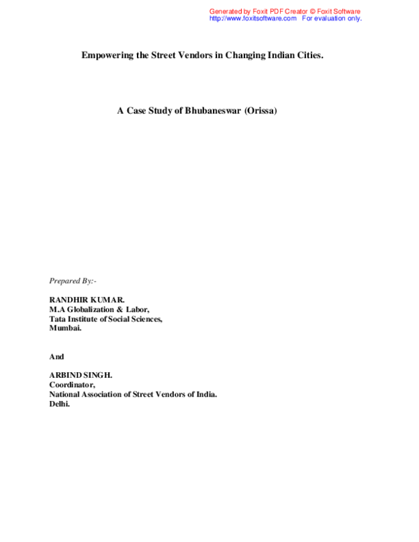 (PDF) Empowering the Street Vendors in Changing Indian Cities: A Case ...