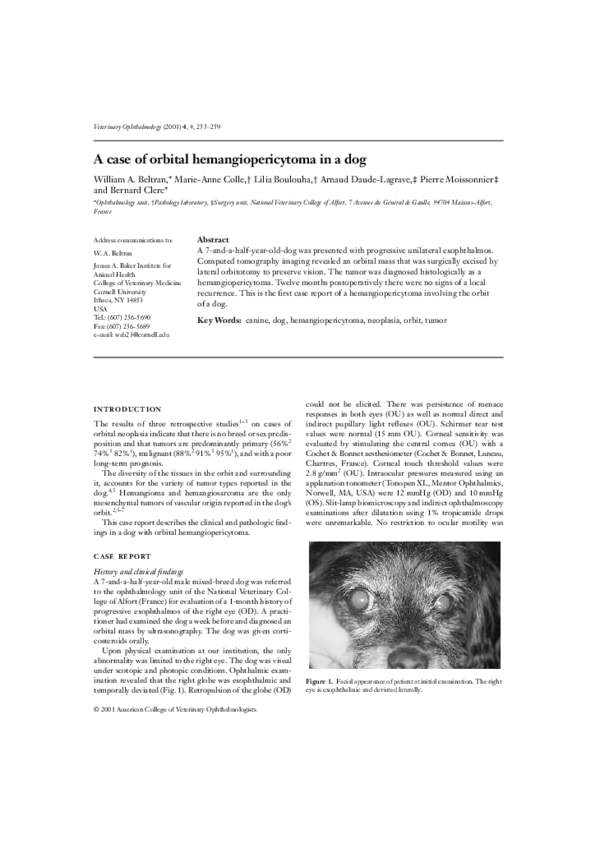 (PDF) A case of orbital hemangiopericytoma in a dog