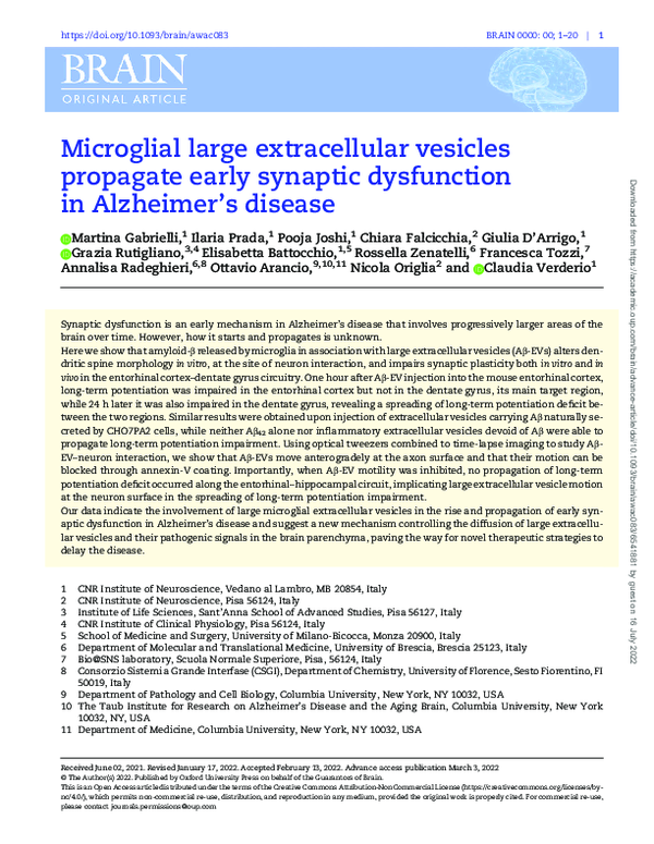 (PDF) Microglial large extracellular vesicles propagate early synaptic dysfunction in Alzheimer ...